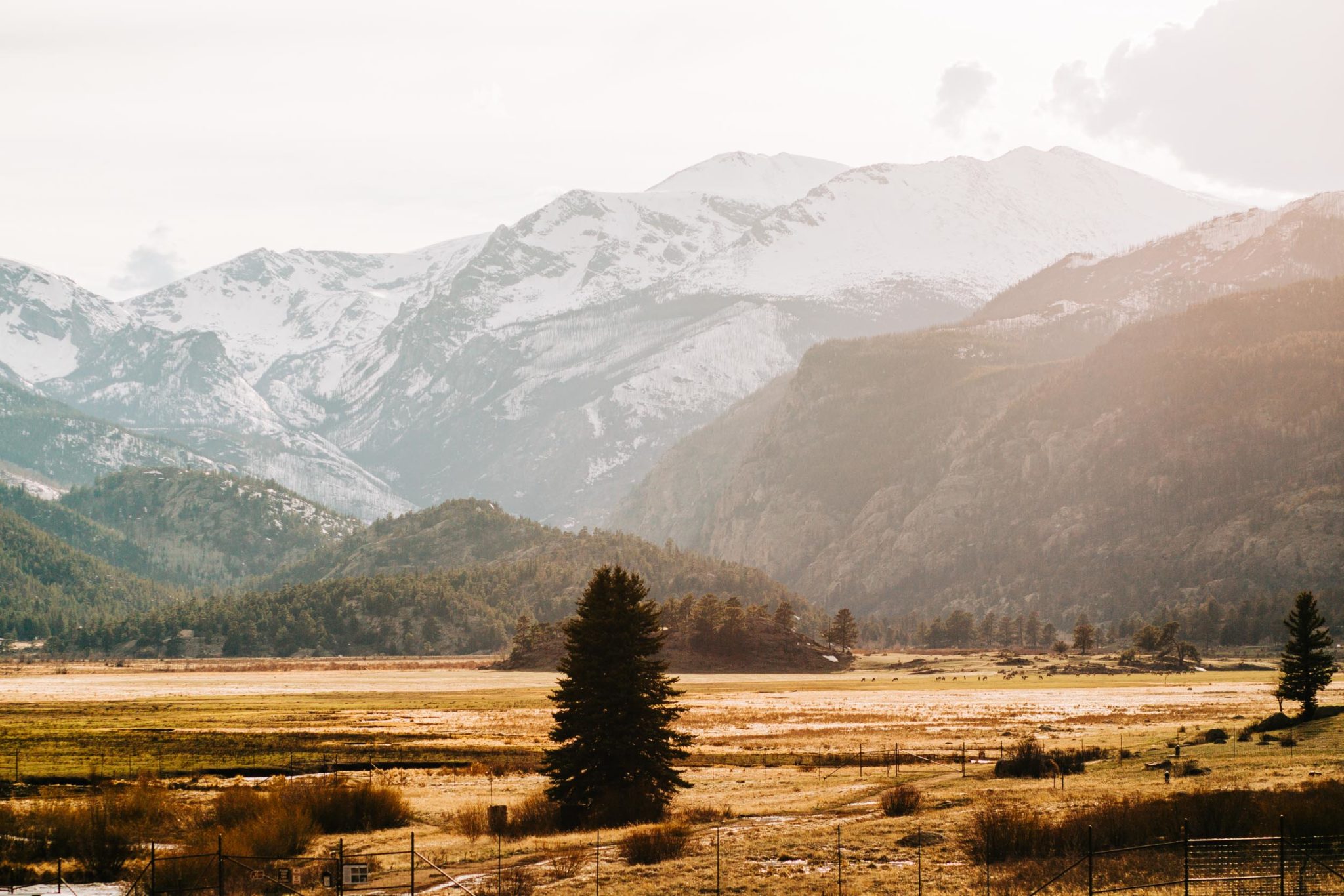 Sprague Lake Engagement Photos Rocky Mountain National Park